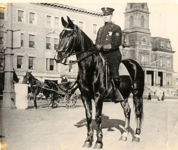 Ed Walsh's Police Memorabilia